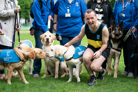 Alun Cairns Poses Photocall Guide Dogs Editorial Stock Photo - Stock ...