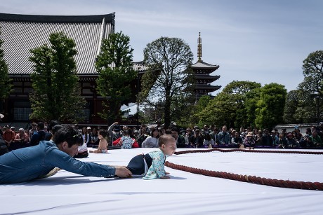nakizumo crying baby festival tokyo Stock Photos (Exclusive) | Shutterstock