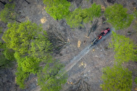 35 Loading wood logs Stock Pictures, Editorial Images and Stock Photos ...