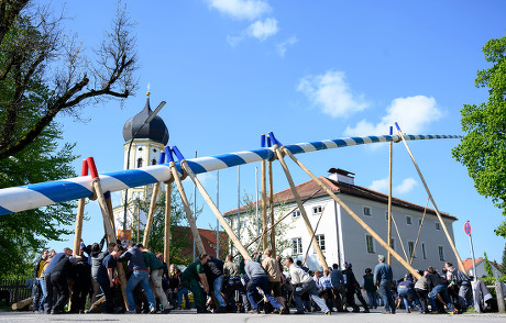 Maypole raising in Bavaria, Aying, Germany - 01 May 2019 Stock Pictures ...