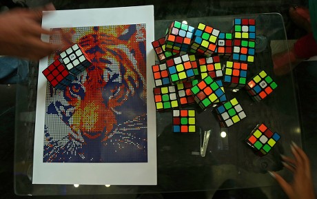 Unseen Indian Participants Solves Rubiks Cubes Editorial Stock Photo ...