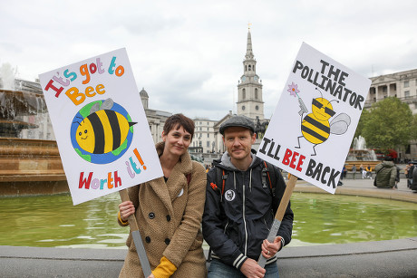 Bee Population Protest, London, UK - 05 May 2019 Stock Pictures ...