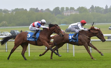 Horse Racing, Chester Racecourse, UK - 08 May 2019 Stock Pictures ...