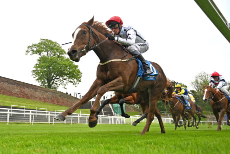 Horse Racing, Chester Racecourse, UK - 08 May 2019 Stock Pictures ...