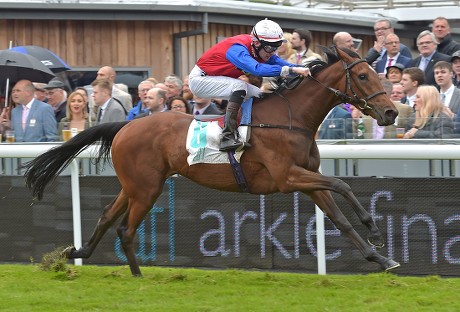 Horse Racing, Chester Racecourse, UK - 08 May 2019 Stock Pictures ...