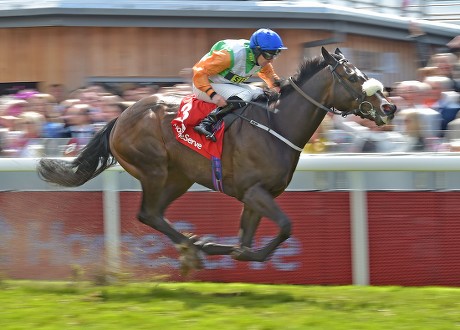 Horse Racing, Chester Racecourse, UK - 10 May 2019 Stock Pictures ...
