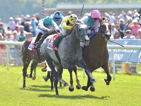 Horse Racing, York Racecourse, UK - 15 May 2019 Stock Pictures ...