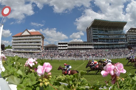 Horse Racing, York Racecourse, UK - 16 May 2019 Stock Pictures ...