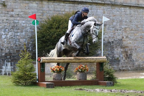 Ballycoog Guinness Ridden By Garrod Steve Editorial Stock Photo - Stock ...