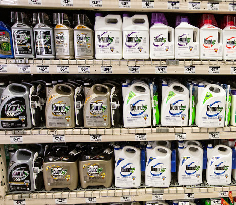 Containers Roundup Weed Killer Seen On Editorial Stock Photo - Stock ...