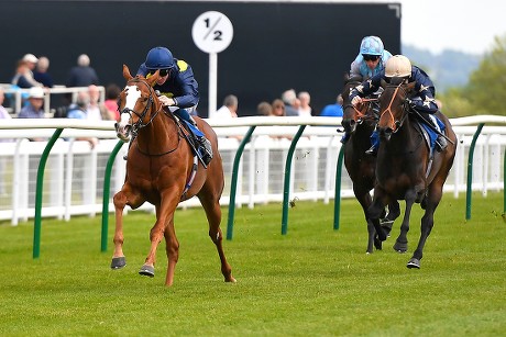 Afternoon Racing, Horse Racing, Salisbury Racecourse, Wiltshire, United ...
