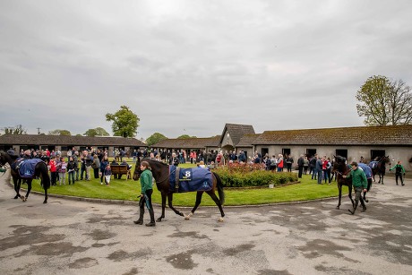 Horse Racing Fans Get See Some Redakčních stock fotografií – stock ...