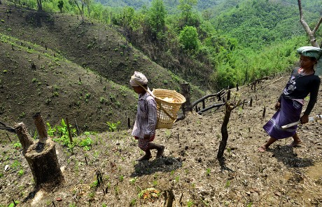 Reang Tribal Couple On Their Way Editorial Stock Photo - Stock Image ...