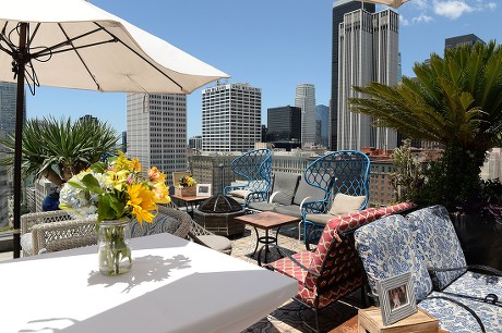 Perch Rooftop Editorial Stock Photo - Stock Image | Shutterstock