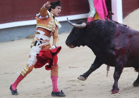 Roca Rey Bullfighter Editorial Stock Photo - Stock Image | Shutterstock