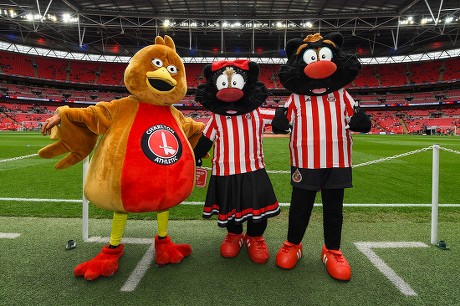 250 Sunderland mascot Stock Pictures, Editorial Images and Stock Photos ...