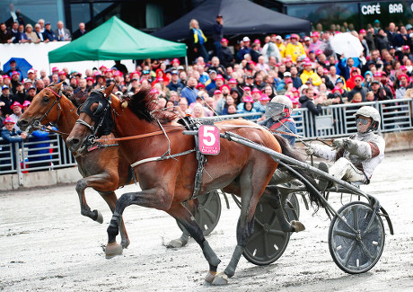 500 Harness race Stock Pictures, Editorial Images and Stock Photos ...