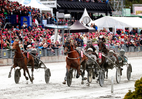 500 Harness race Stock Pictures, Editorial Images and Stock Photos ...