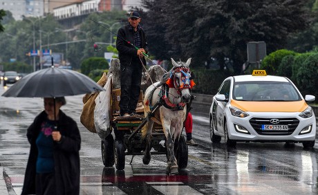 Roma People Ride Horse Wagon Center Editorial Stock Photo - Stock Image ...