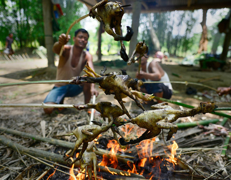 Chickens Roasted Over Fire After Being Editorial Stock Photo - Stock ...