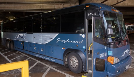 Chartered Greyhound Bus Waits Passengers Downtown Editorial Stock Photo ...