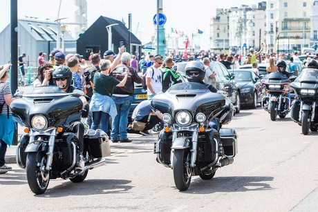 Members Bikers Club Hells Angels Ride Editorial Stock Photo - Stock ...