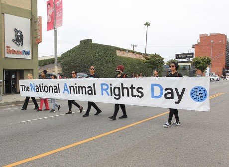 __COUNT__ Animal rights rally, Los Angeles, USA - 02 Jun 2019 Stock ...