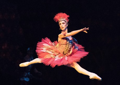 'The Firebird' Ballet performed by the Royal Ballet, Royal Opera House ...