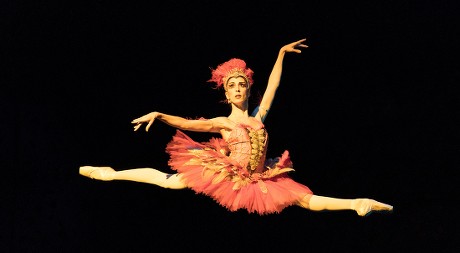 'The Firebird' Ballet performed by the Royal Ballet, Royal Opera House ...
