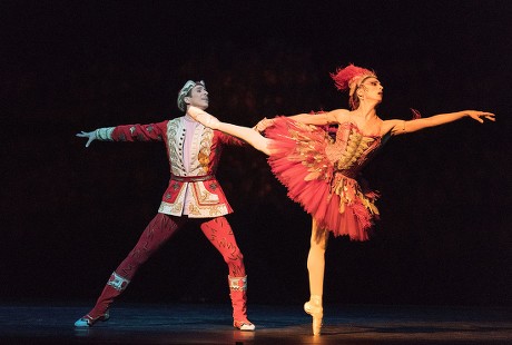 'The Firebird' Ballet performed by the Royal Ballet, Royal Opera House ...