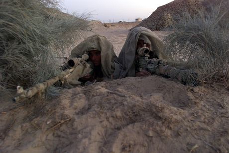 250 Operation desert fox Stock Pictures, Editorial Images and Stock ...