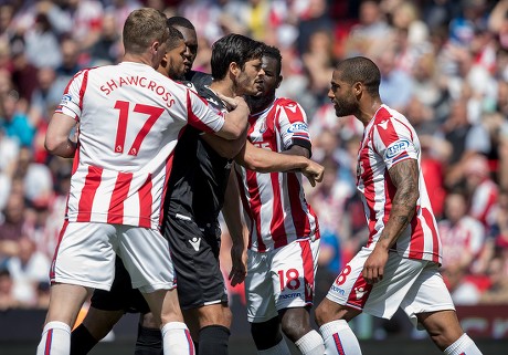Football Premier League Stoke City 1 Editorial Stock Photo - Stock ...