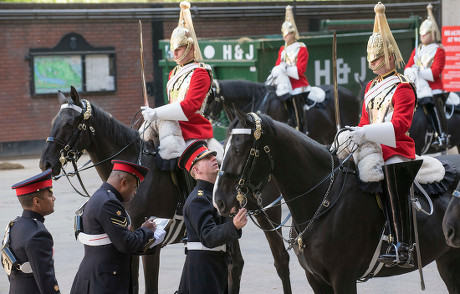 Household Cavalry Mounted Regiment Take Part Editorial Stock Photo ...