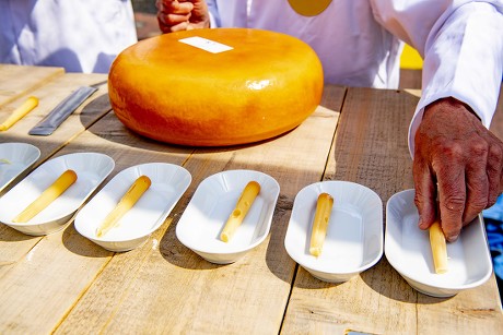 Judges Place Cheese Sticks During Final Editorial Stock Photo - Stock ...