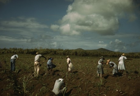 15 Jack delano photo Stock Pictures, Editorial Images and Stock Photos | Shutterstock