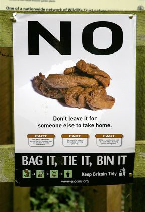 Graphic Poster Dog Mess Editorial Stock Photo - Stock Image | Shutterstock
