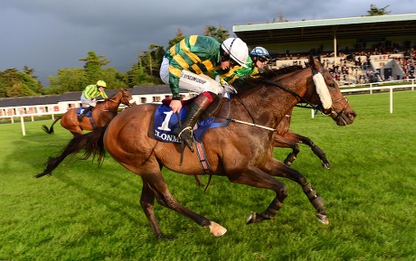 Clonmel Treasure Chest Shane Shortall Near Editorial Stock Photo ...