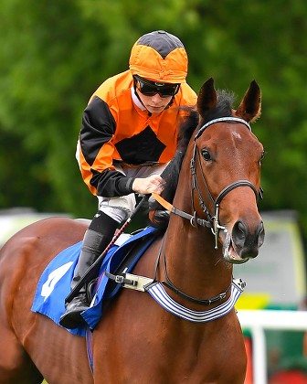 Jockey Megan Nicholls During Evening Racing Editorial Stock Photo - Stock Image | Shutterstock