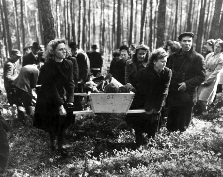 12 Dead jewish prisoners Stock Pictures, Editorial Images and Stock ...
