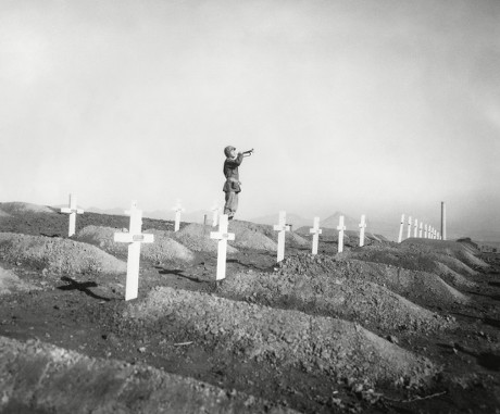 Us Marine Plays Taps Over Graves Editorial Stock Photo - Stock Image ...
