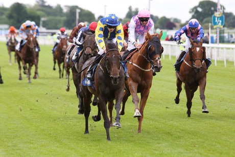 88 Declan carroll Stock Pictures, Editorial Images and Stock Photos ...