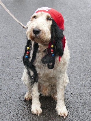 600th Anniversary, Harry Paye Day, Poole, Dorset, UK - 15 Jun 2019 ...