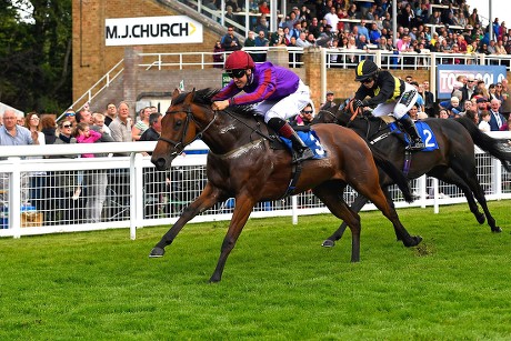 Jockey Elisha Whittington During Horse Racing Editorial Stock Photo ...