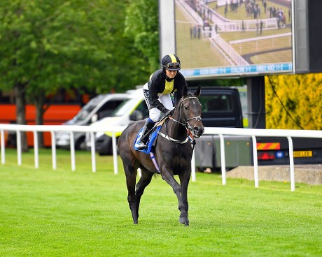 Jockey Elisha Whittington During Horse Racing Editorial Stock Photo ...