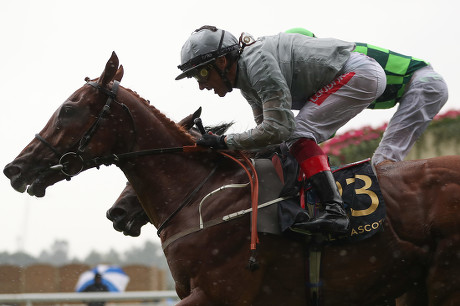 Frankie Dettori Riding Raffle Prize Wins Editorial Stock Photo - Stock ...