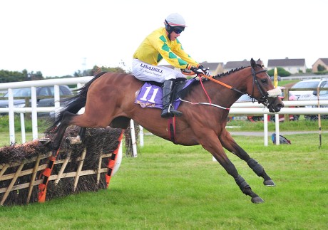 Wexford Smithscorner Conor Orr Win Trainer Editorial Stock Photo ...