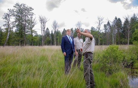 King Willemalexander During Opening New Park Editorial Stock Photo ...