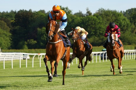 Tijaary Ridden By Miss Antonia Peck Editorial Stock Photo - Stock Image ...