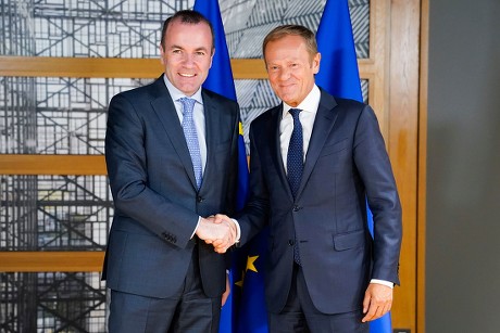 Manfred Weber Donald Tusk Editorial Stock Photo - Stock Image | Shutterstock