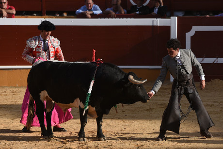 Mario Perez Spanish Matador On Horseback Editorial Stock Photo - Stock ...